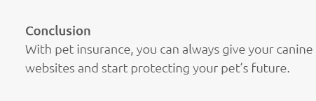 How To Get Insurance On Your Dog 🐶 Nov 2025