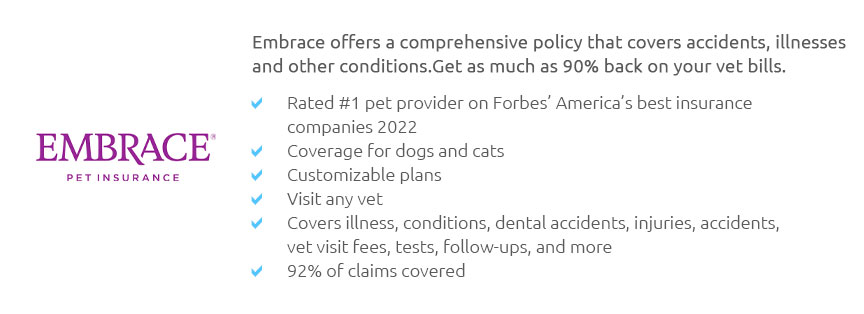 How To Get Insurance On Your Dog 🐶 Nov 2025