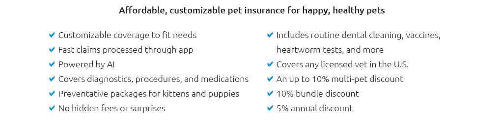 How To Get Insurance On Your Dog 🐶 Oct 2025
